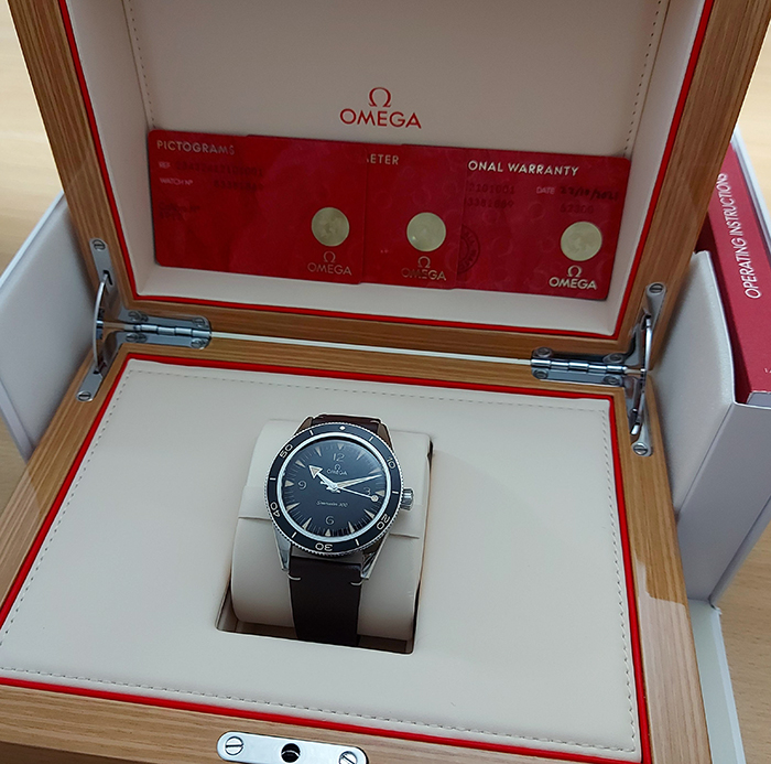 Omega Seamaster 300 Co-Axial Wristwatch Ref. 234.32.41.21.01.001